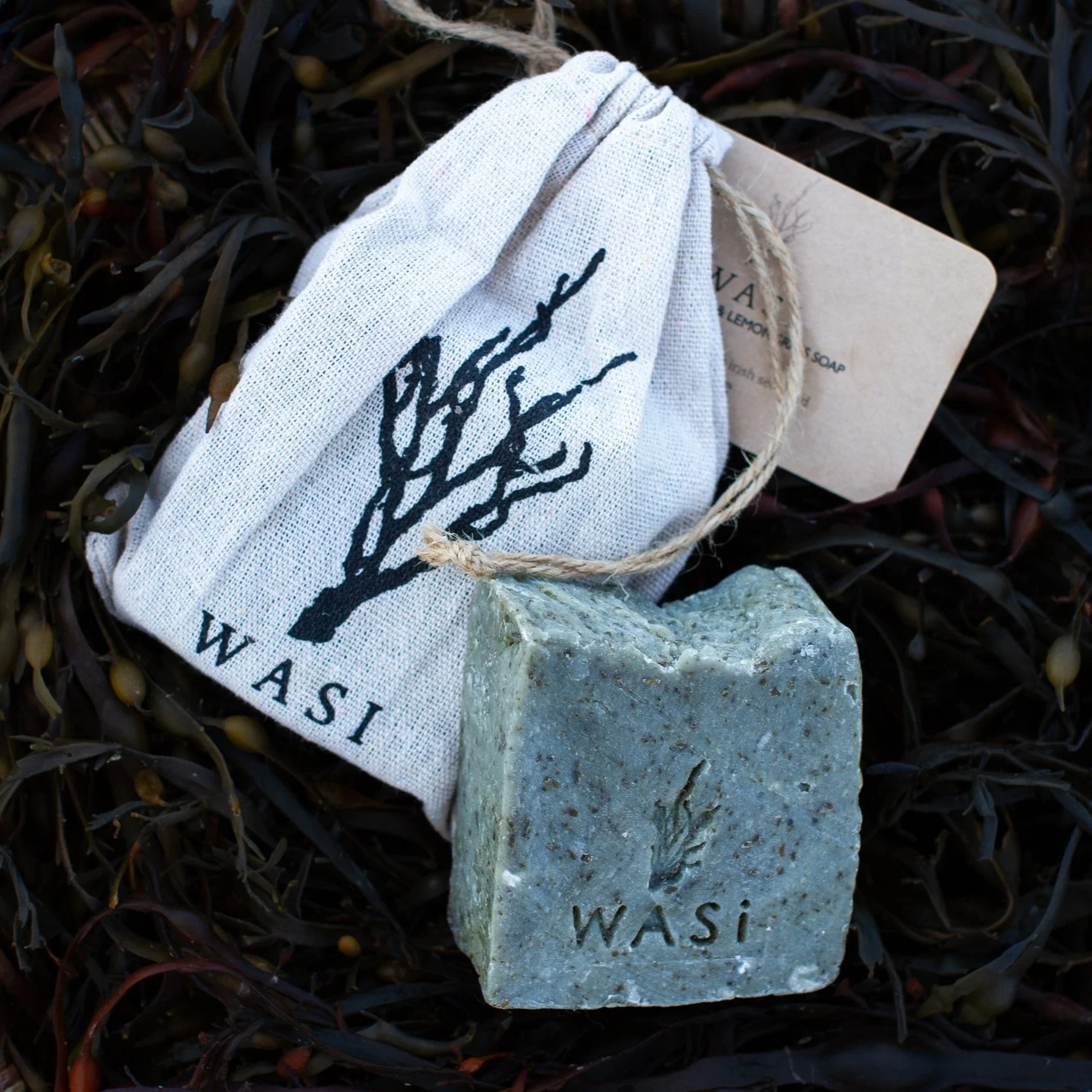 Seaweed Skincare — WASI