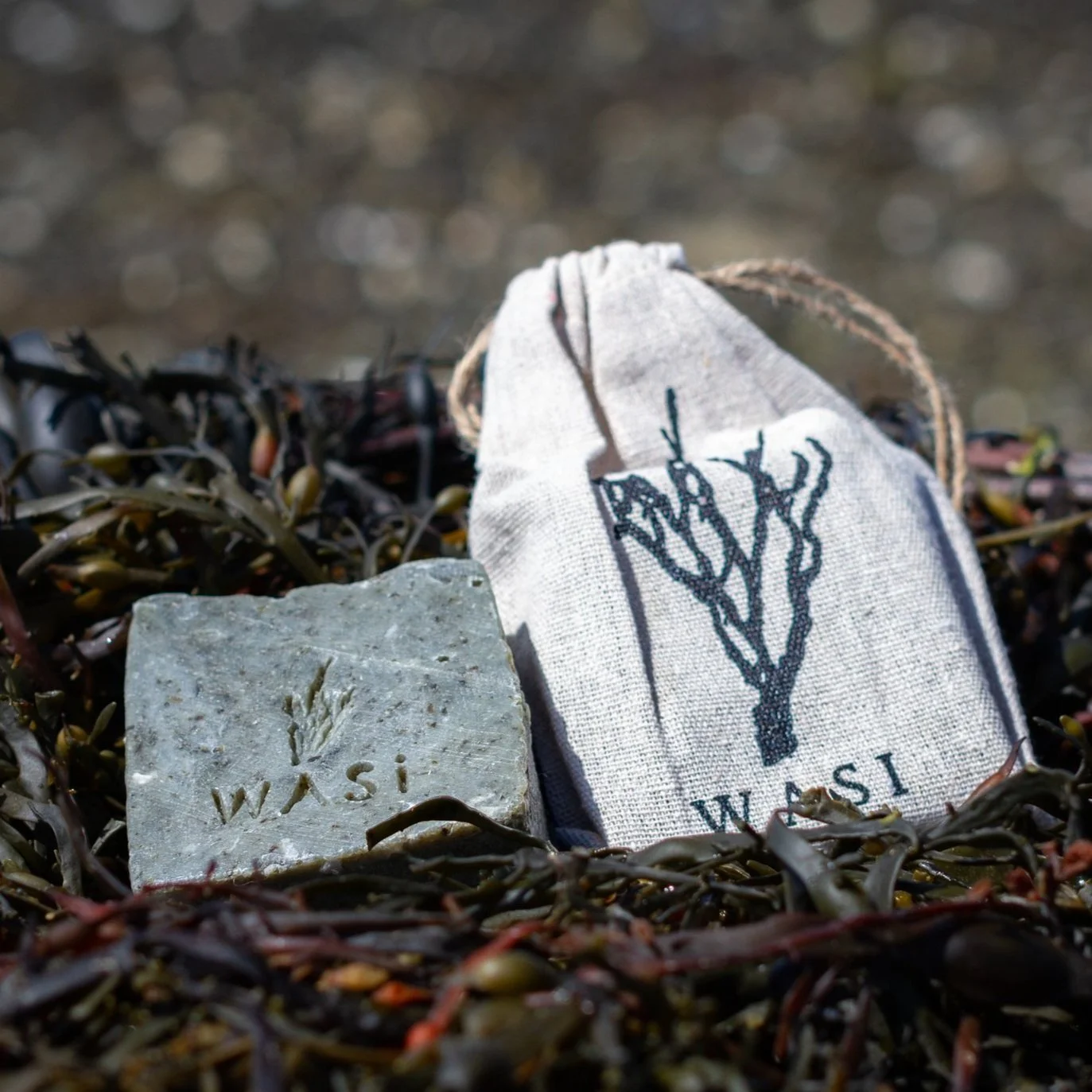 Eco-Friendly Handmade Seaweed Soap — WASI