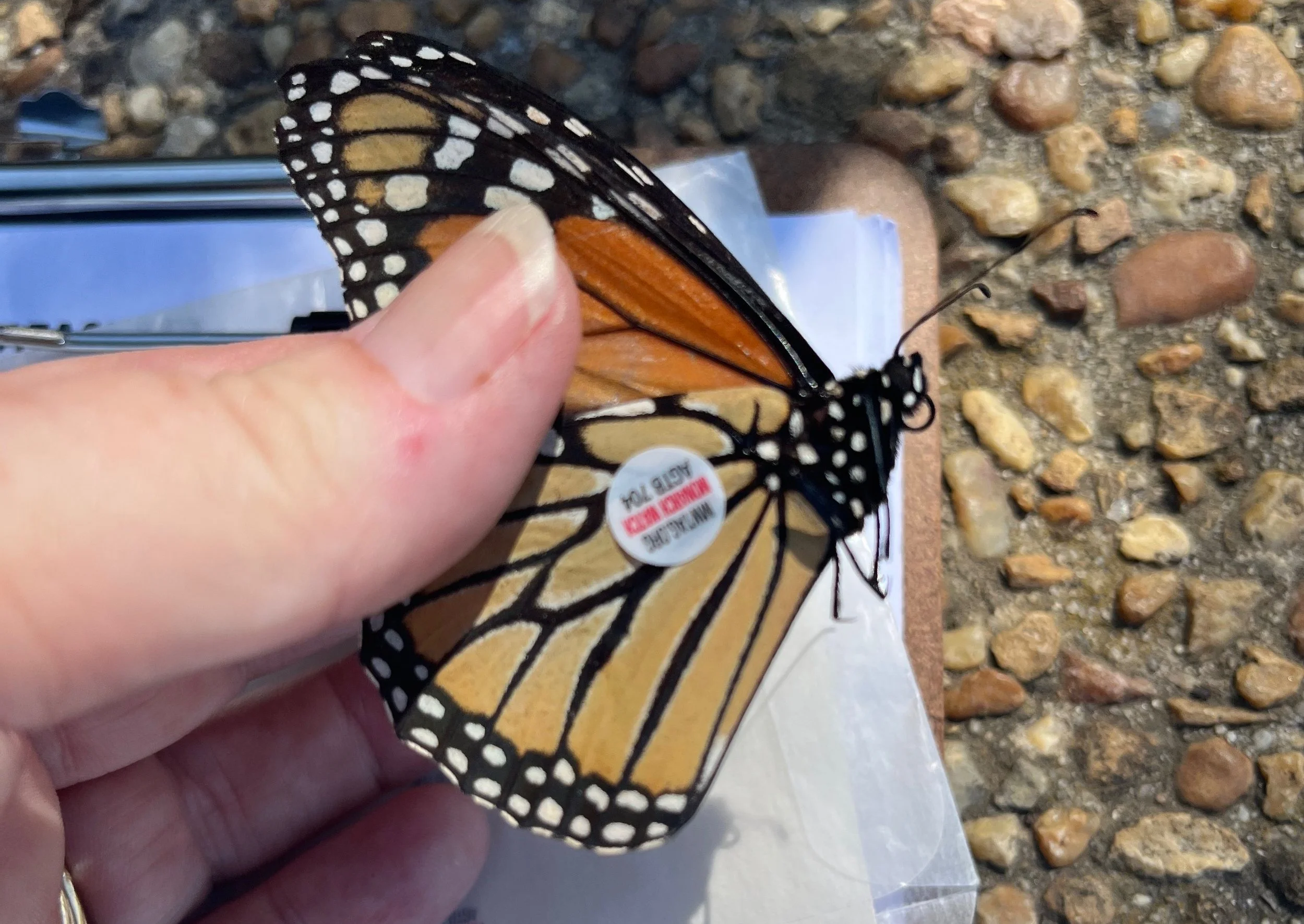 Northern Neck Master Naturalists