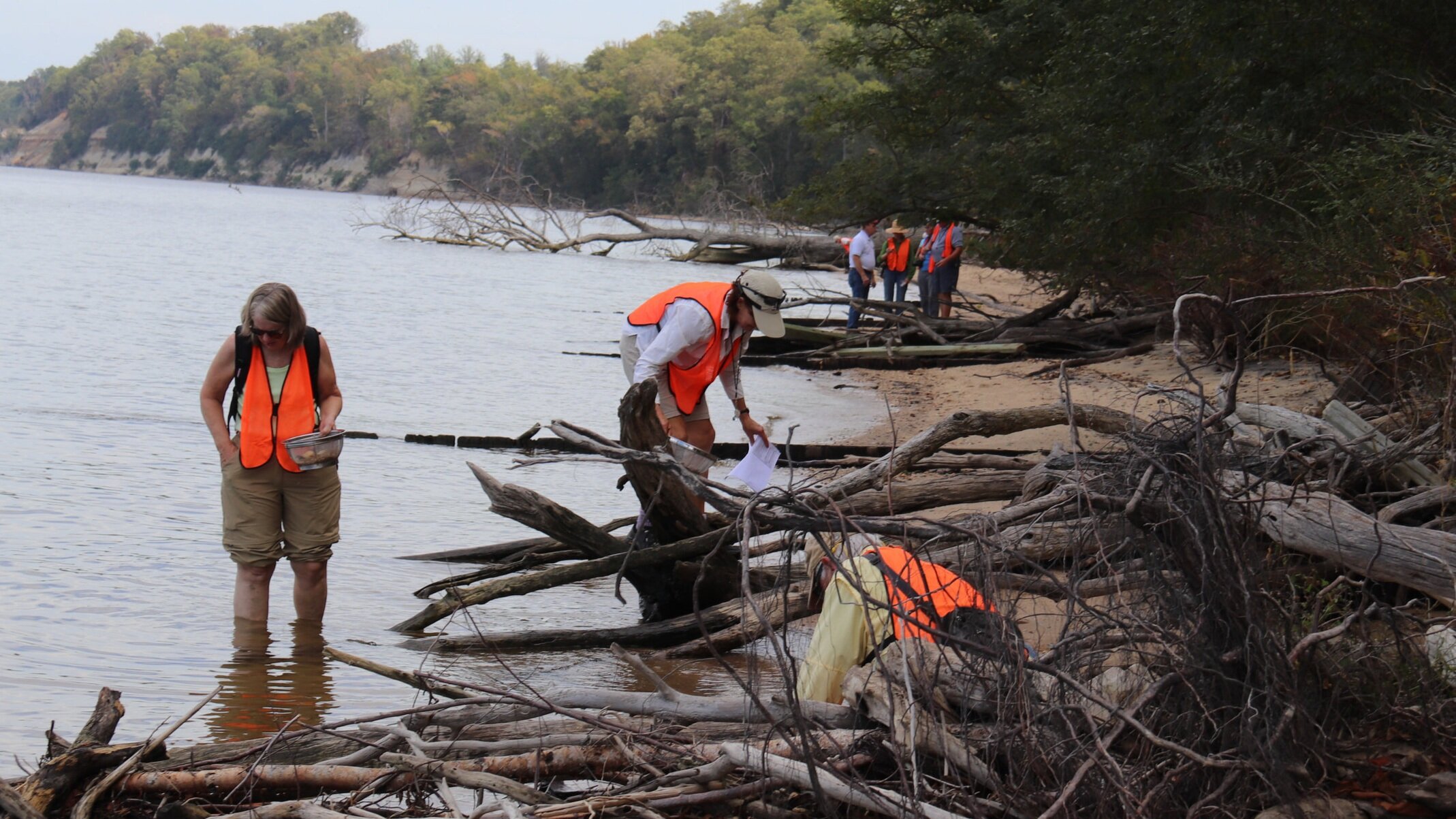 What is a Master Naturalist? — Northern Neck Master Naturalists