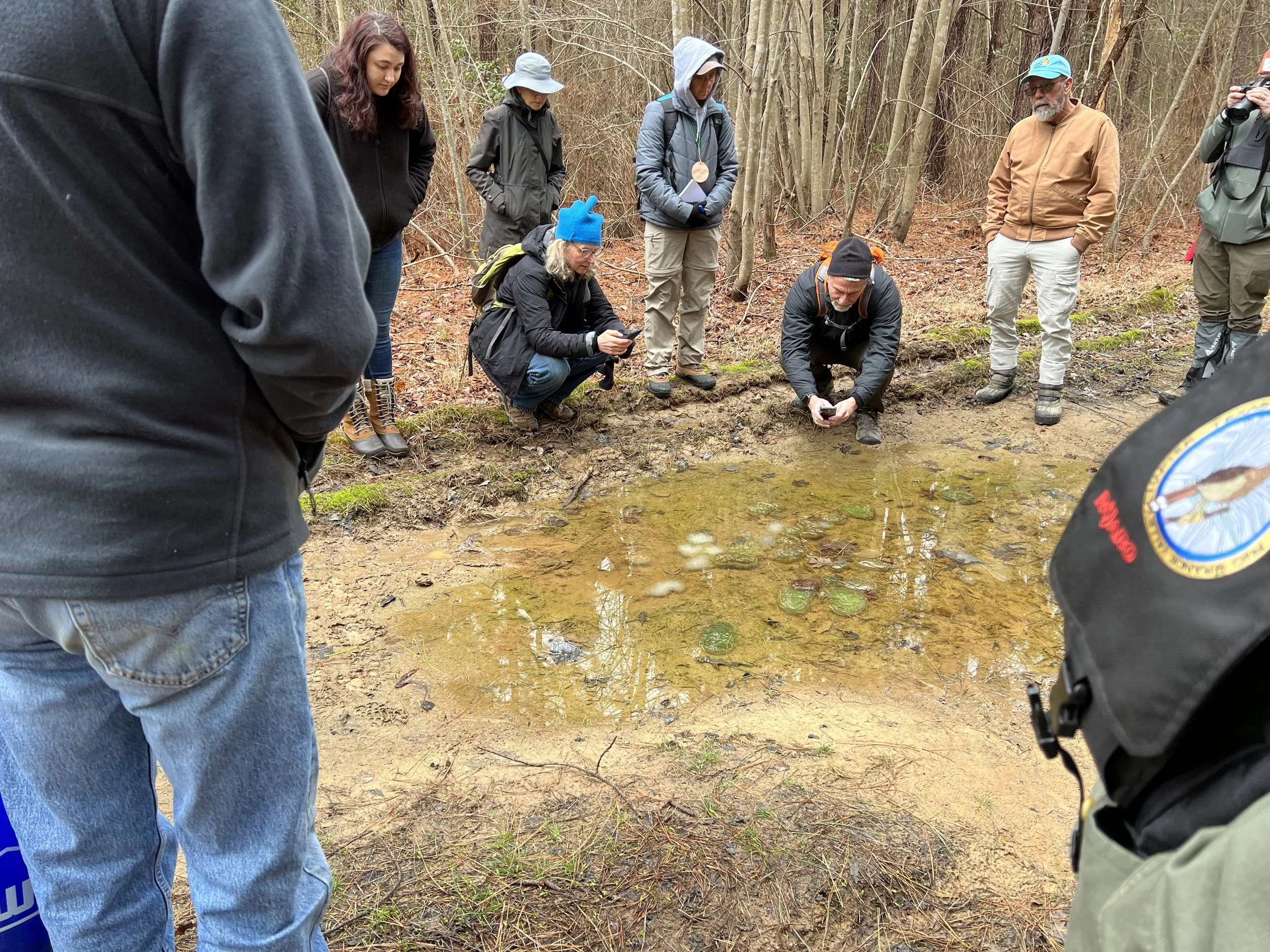 Northern Neck Master Naturalists