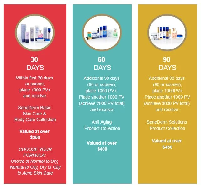 JUMP START & FAST START PROGRAMS — Rochelle Valle