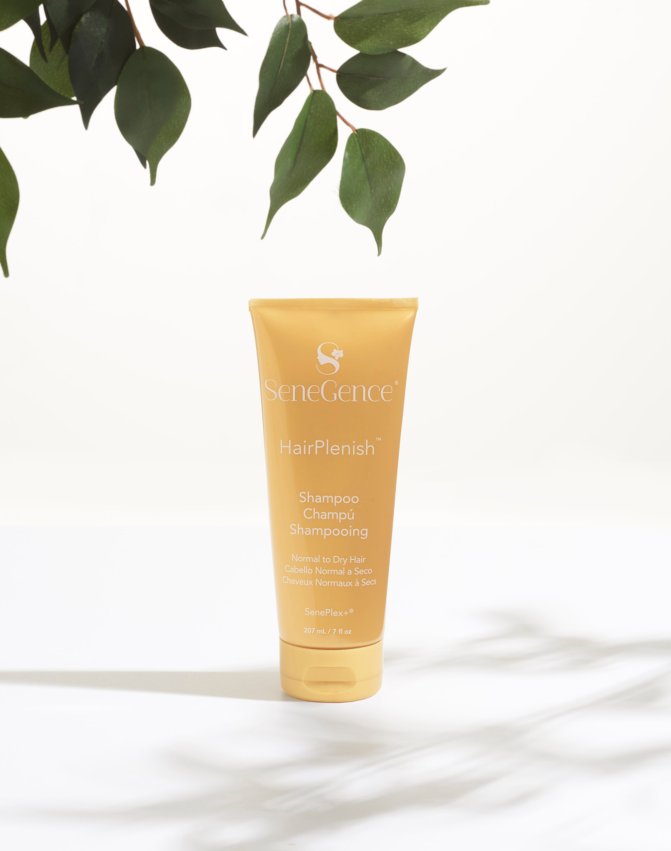 New SeneGence Products & New Releases — Rochelle Valle