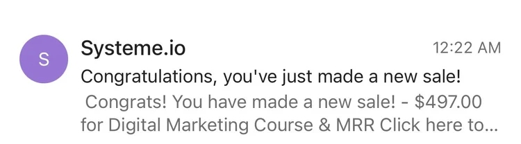 Digital Marketing Course with Master Resell Rights ( MRR ) — Rochelle Valle