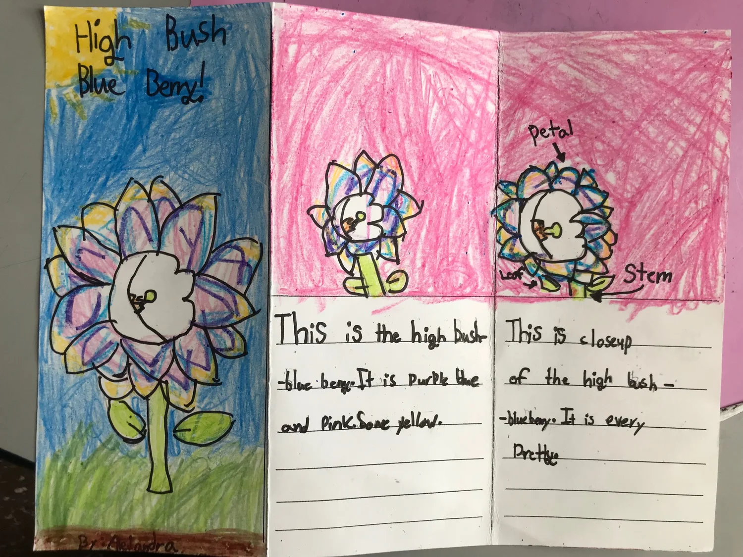 2nd Grade — Focus on Early Learning