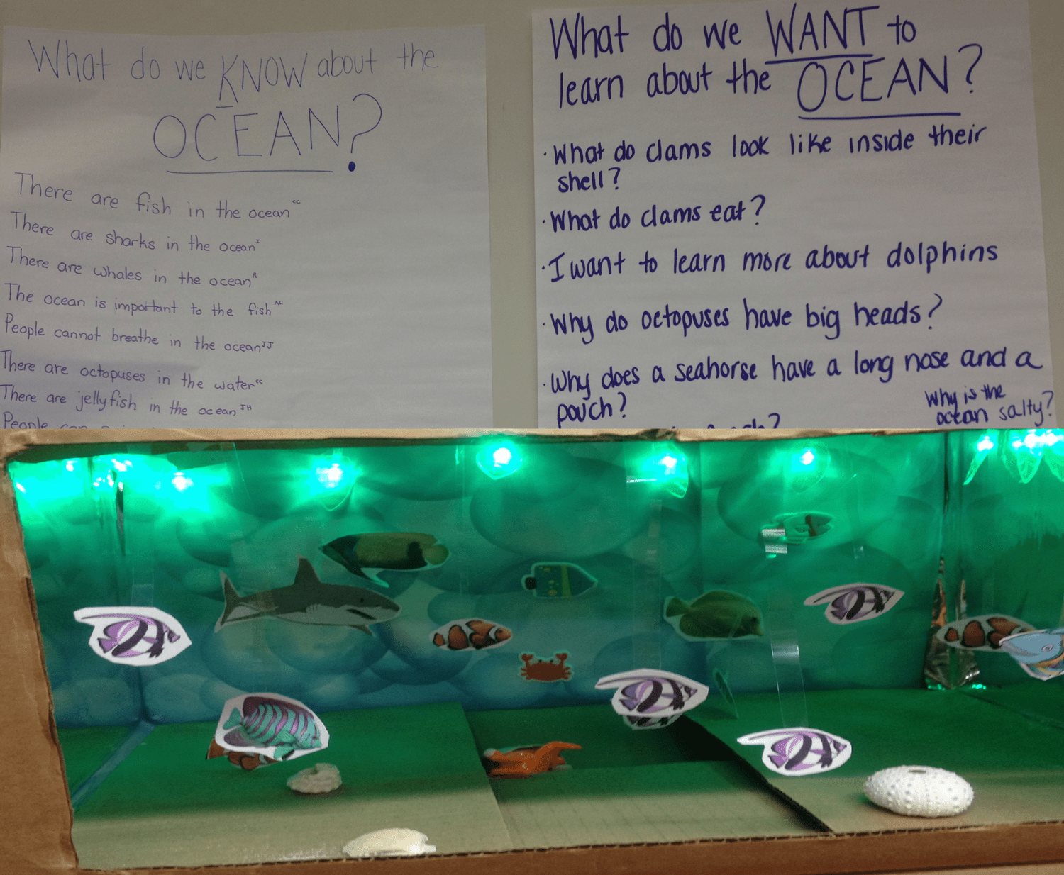 Summer Early Focus — Focus on Early Learning