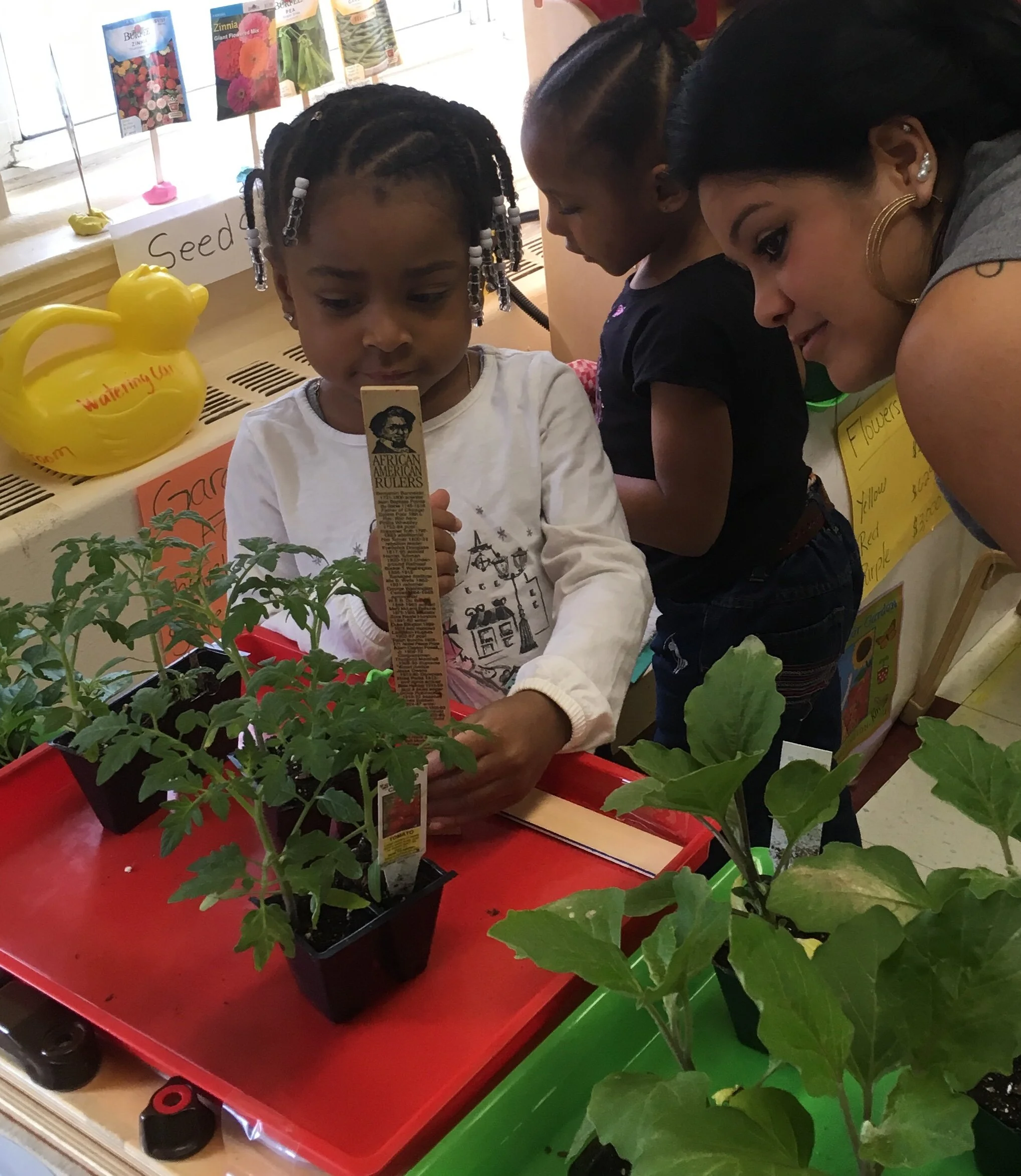 Unit 6 Exemplar Gallery Archived — Focus on Early Learning