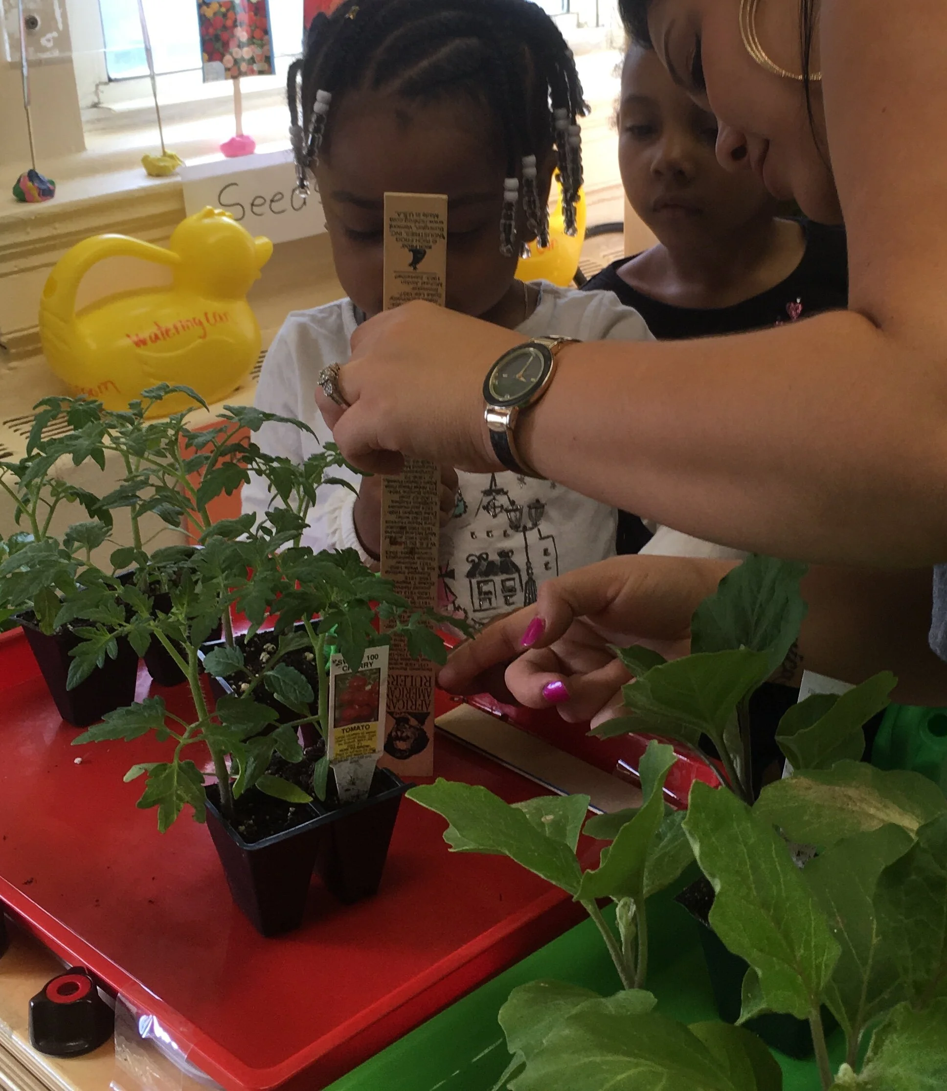 Exemplar Gallery — Focus on Early Learning