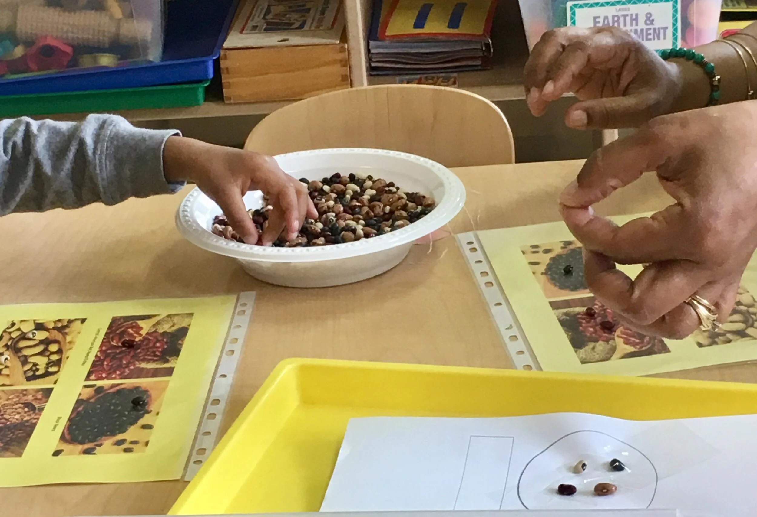 Unit 6 Exemplar Gallery Archived — Focus on Early Learning