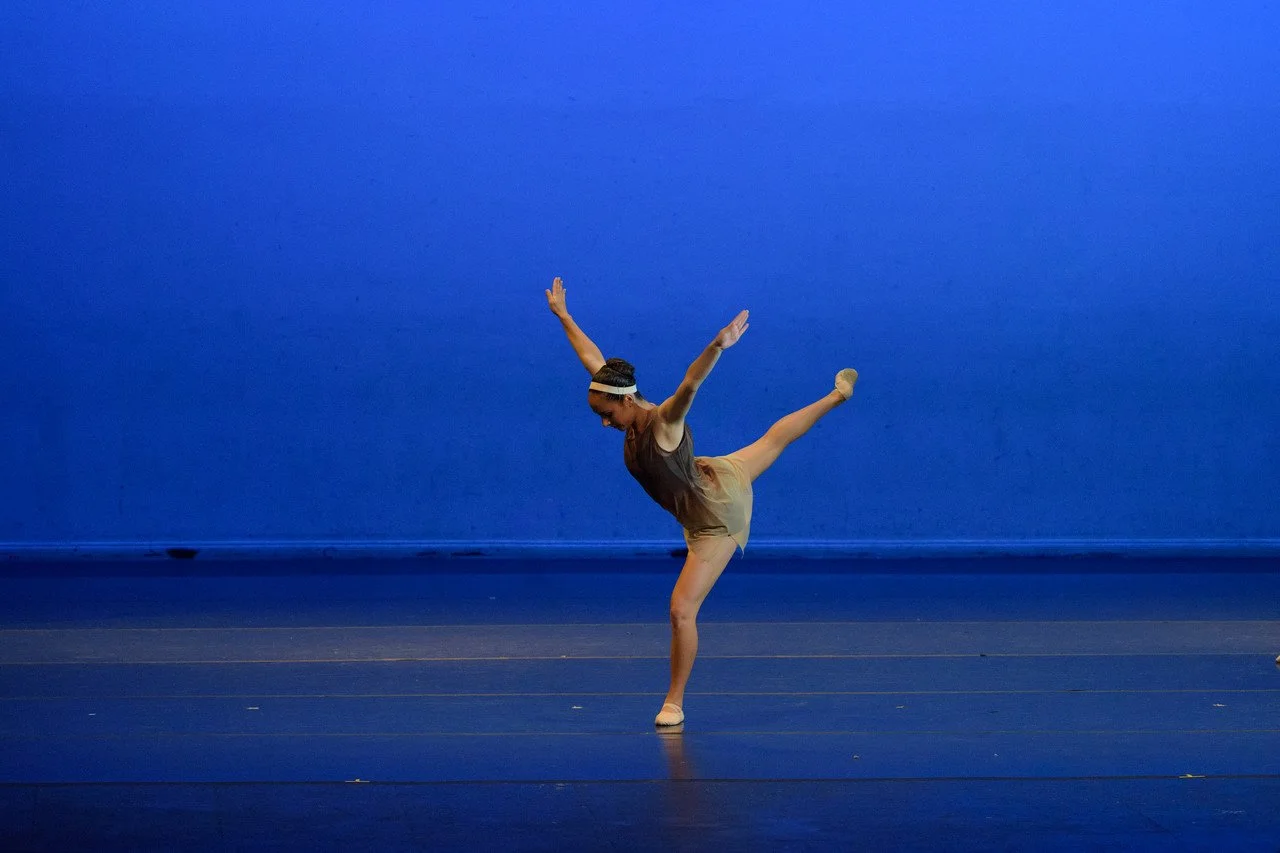 Spring Performance 2024 "ELEMENTAL" — Performing Arts Workshop