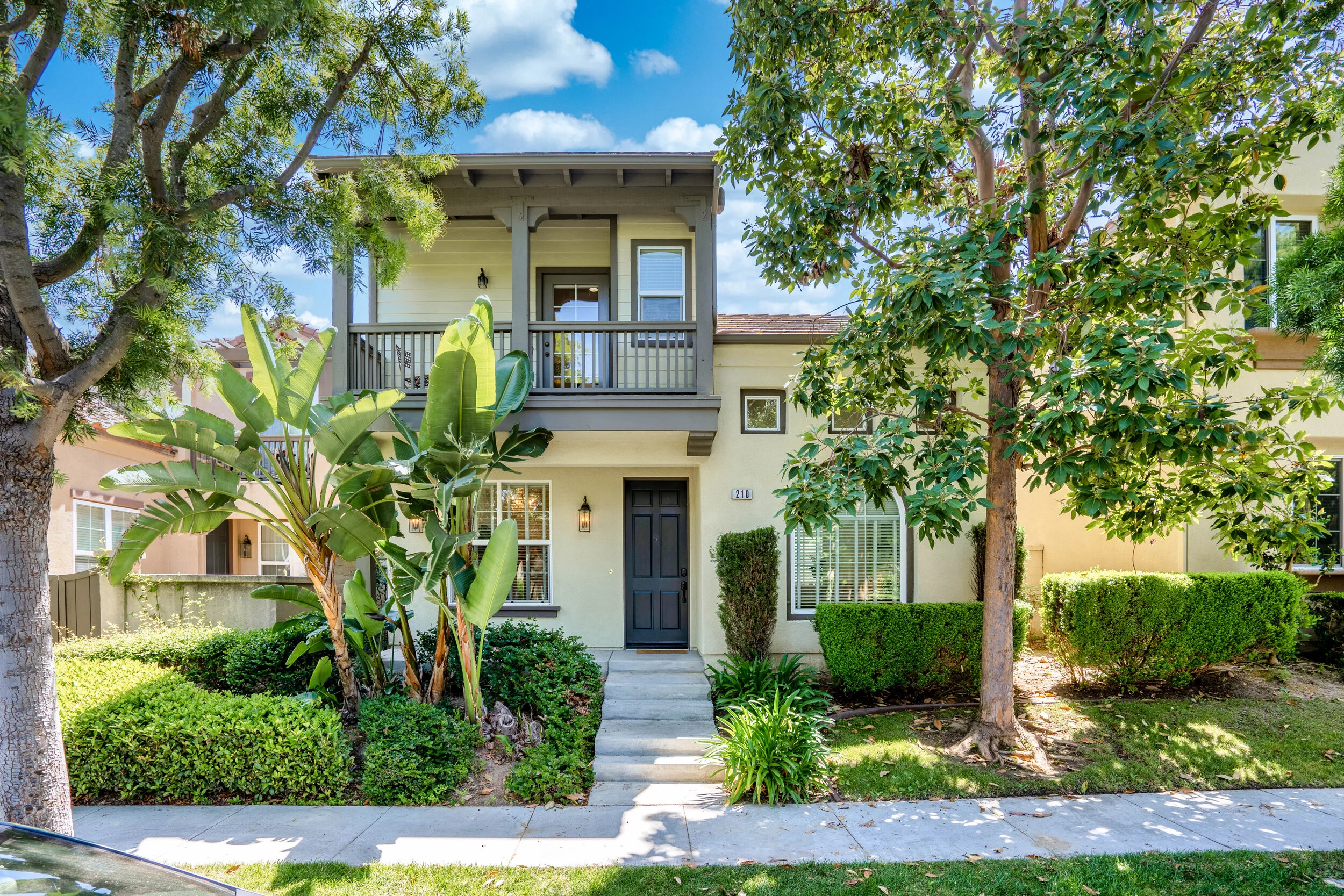 Portfolio — Freska Designs