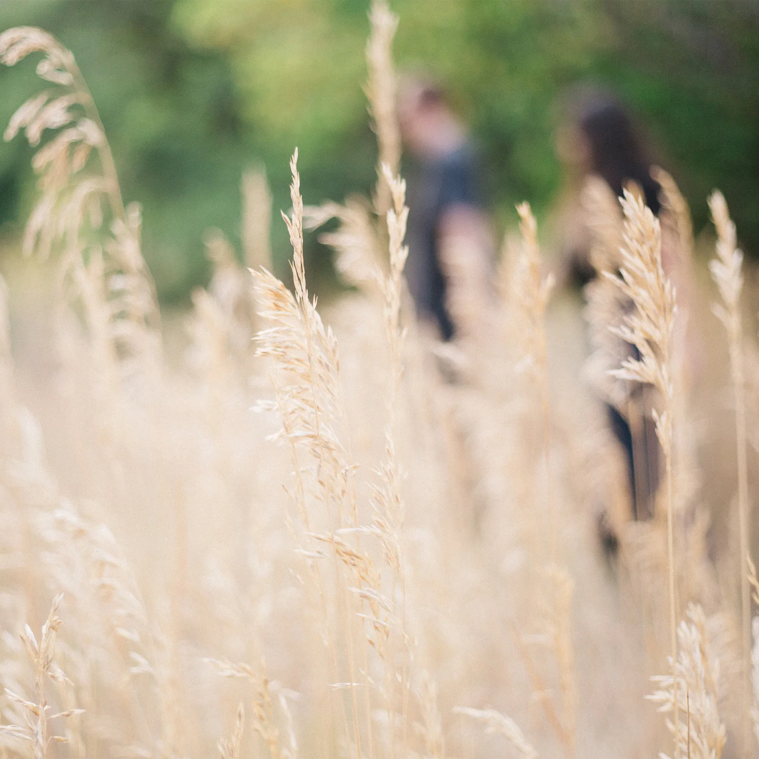 A Little Adventure — The Wandry Way