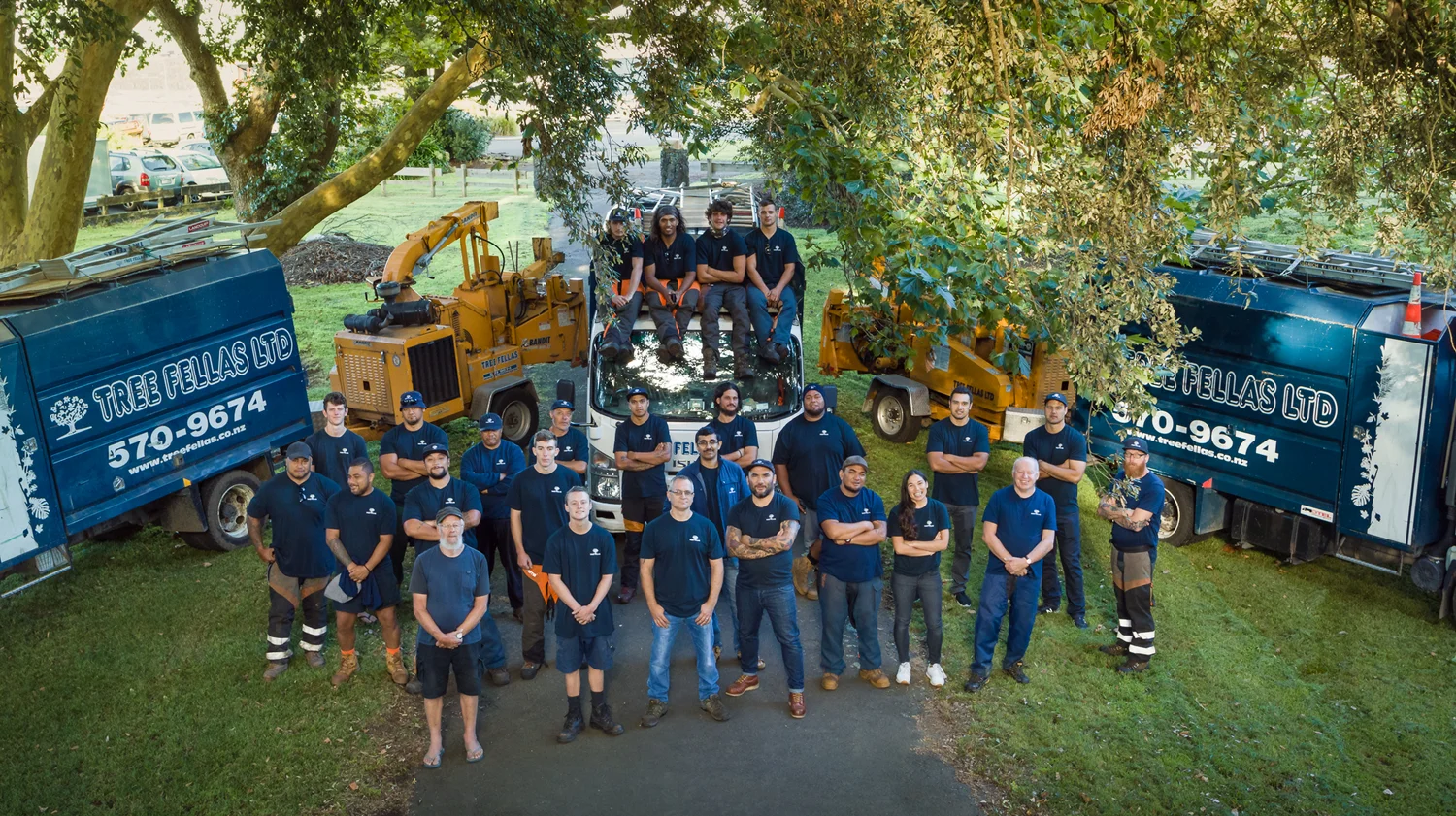 Tree Felling Auckland | Expert Arborists | Tree Fellas