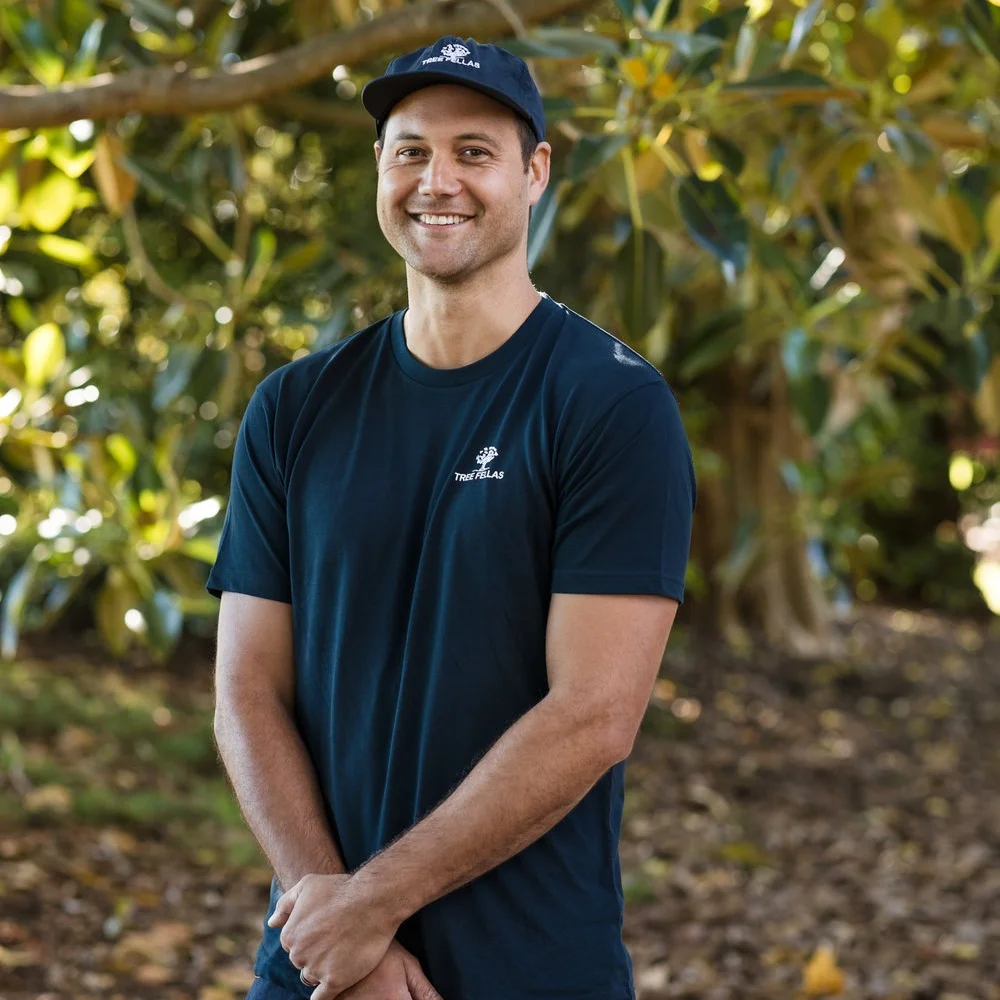 Bamboo Removal Auckland | Tree Fellas