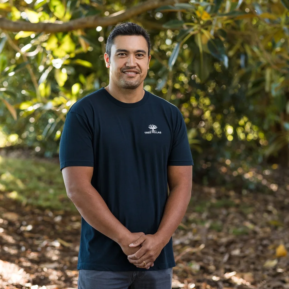 Tree Pruning Auckland | Tree Fellas