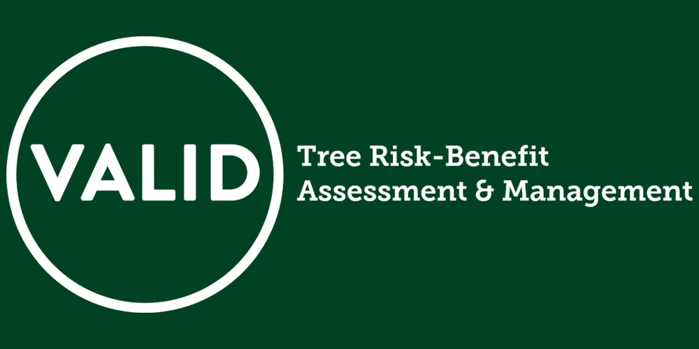 Arborists Auckland | Tree Fellas