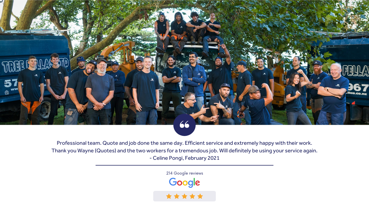 Arborists Auckland | Tree Fellas