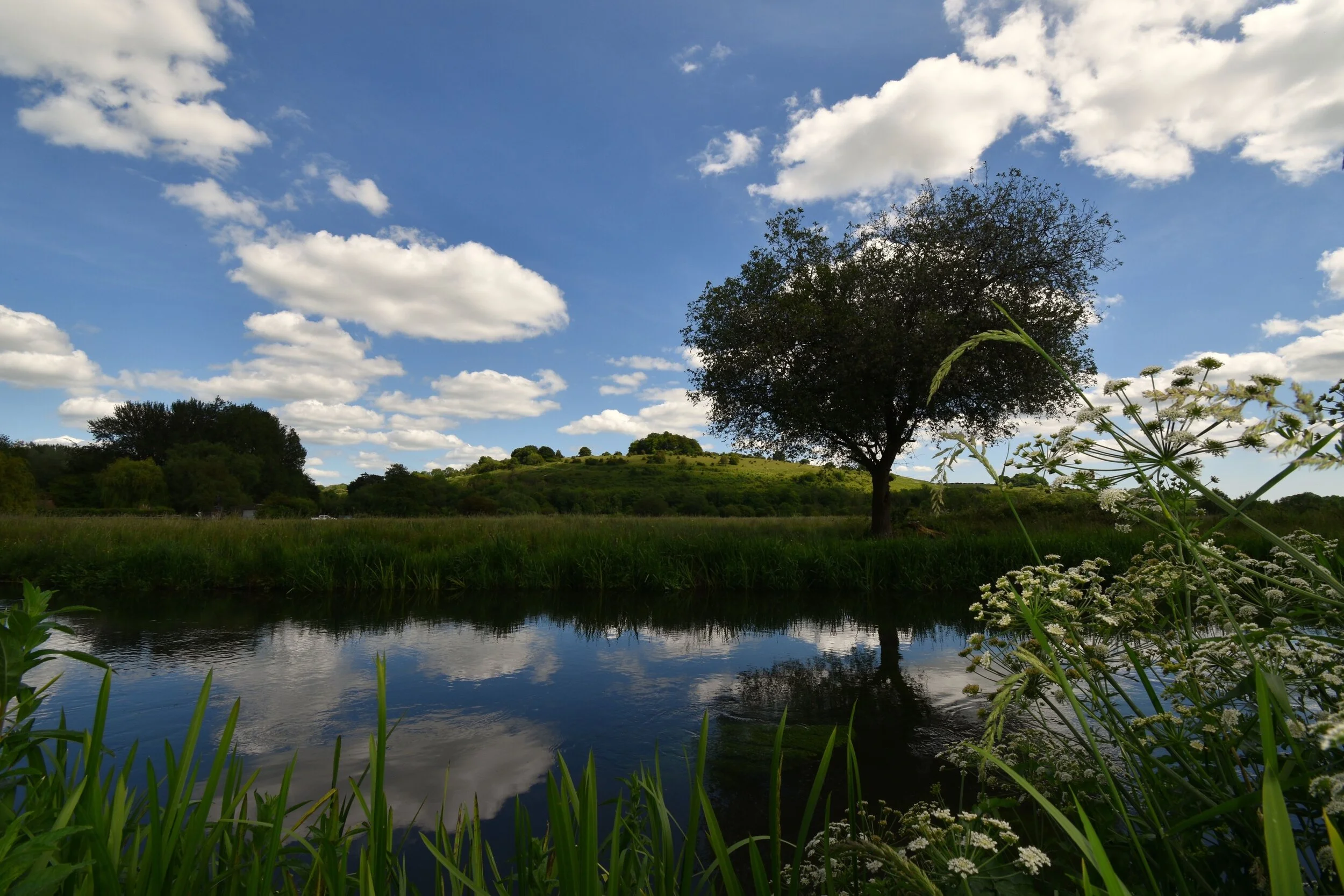 Valkyries in the Water-Meadows: A Little-Known Piece of Winchester ...