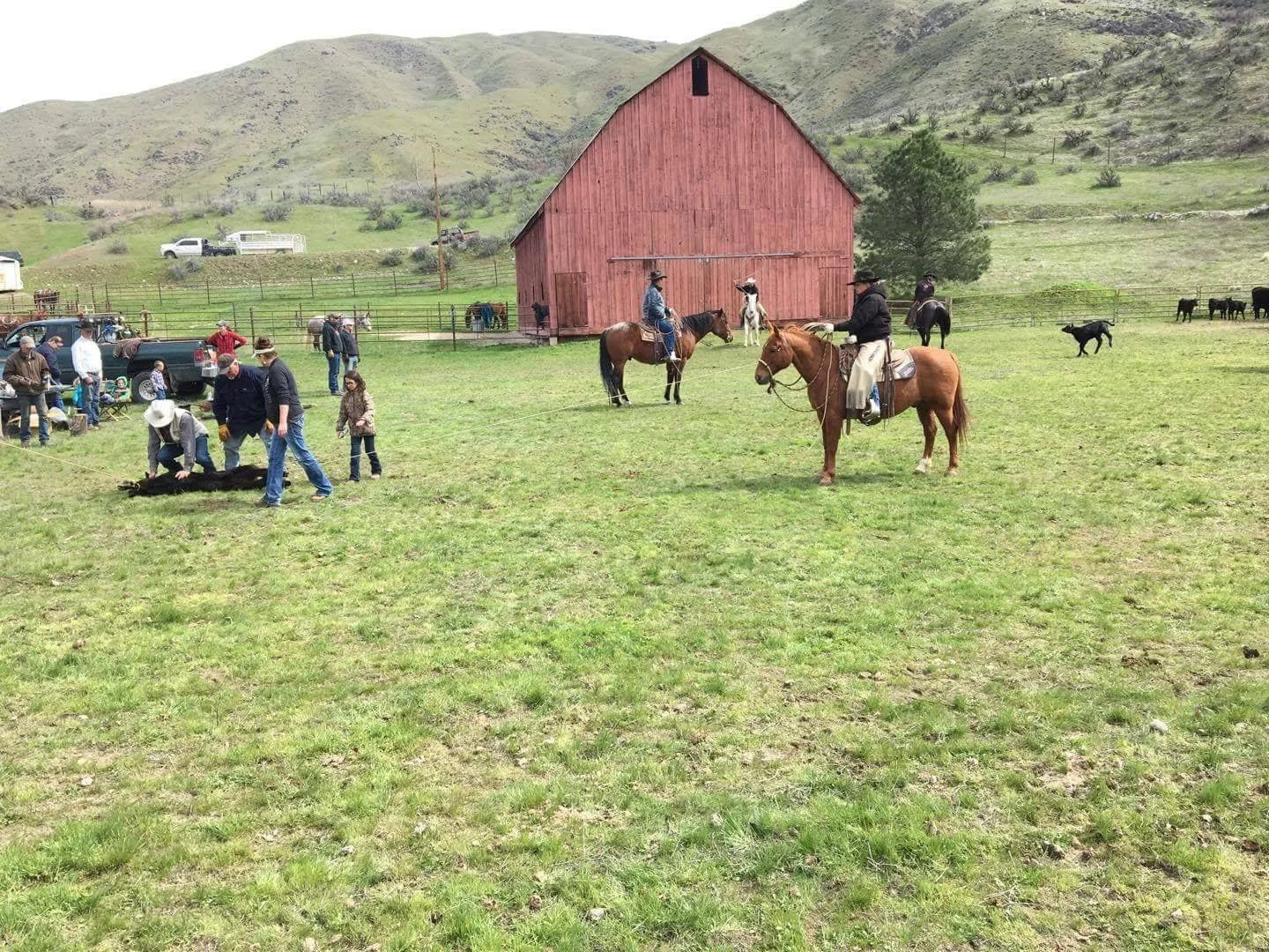 #WesternWomenWednesday, Lisa Earley, Braider, NZ — Branded In Ink