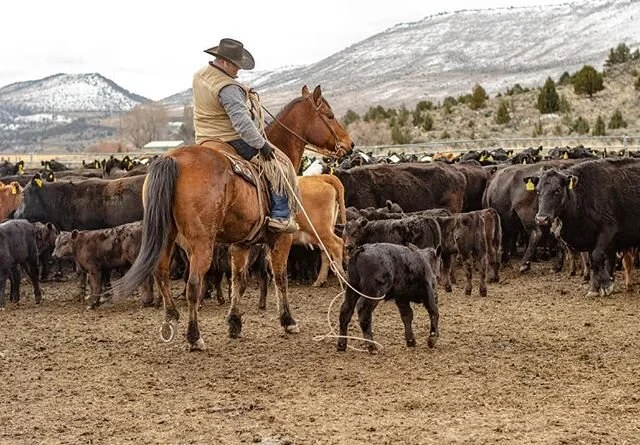 Outback Trading Company- By outdoors men for outdoors men — Branded In Ink