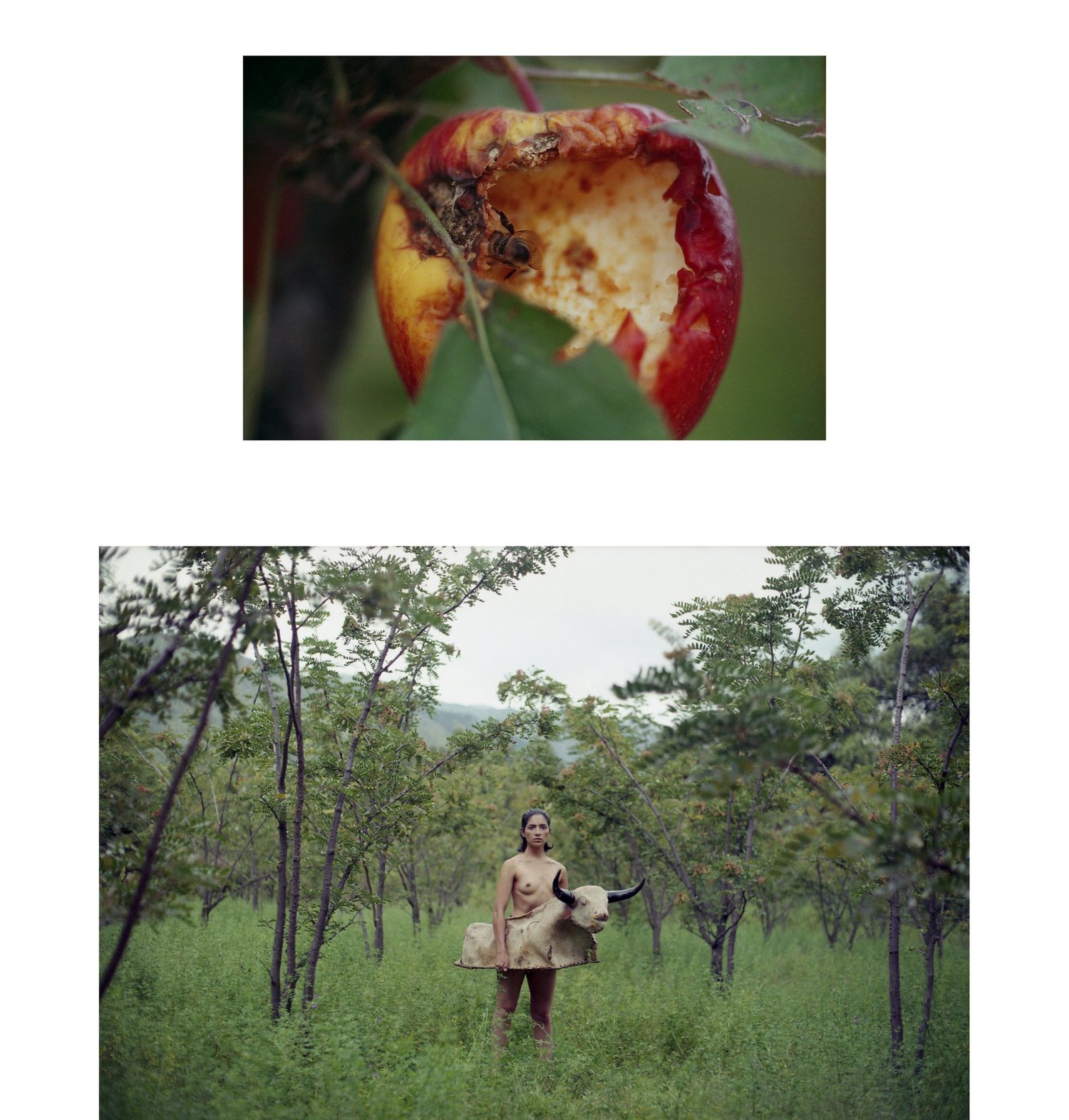 MADRE — MARISOL MENDEZ