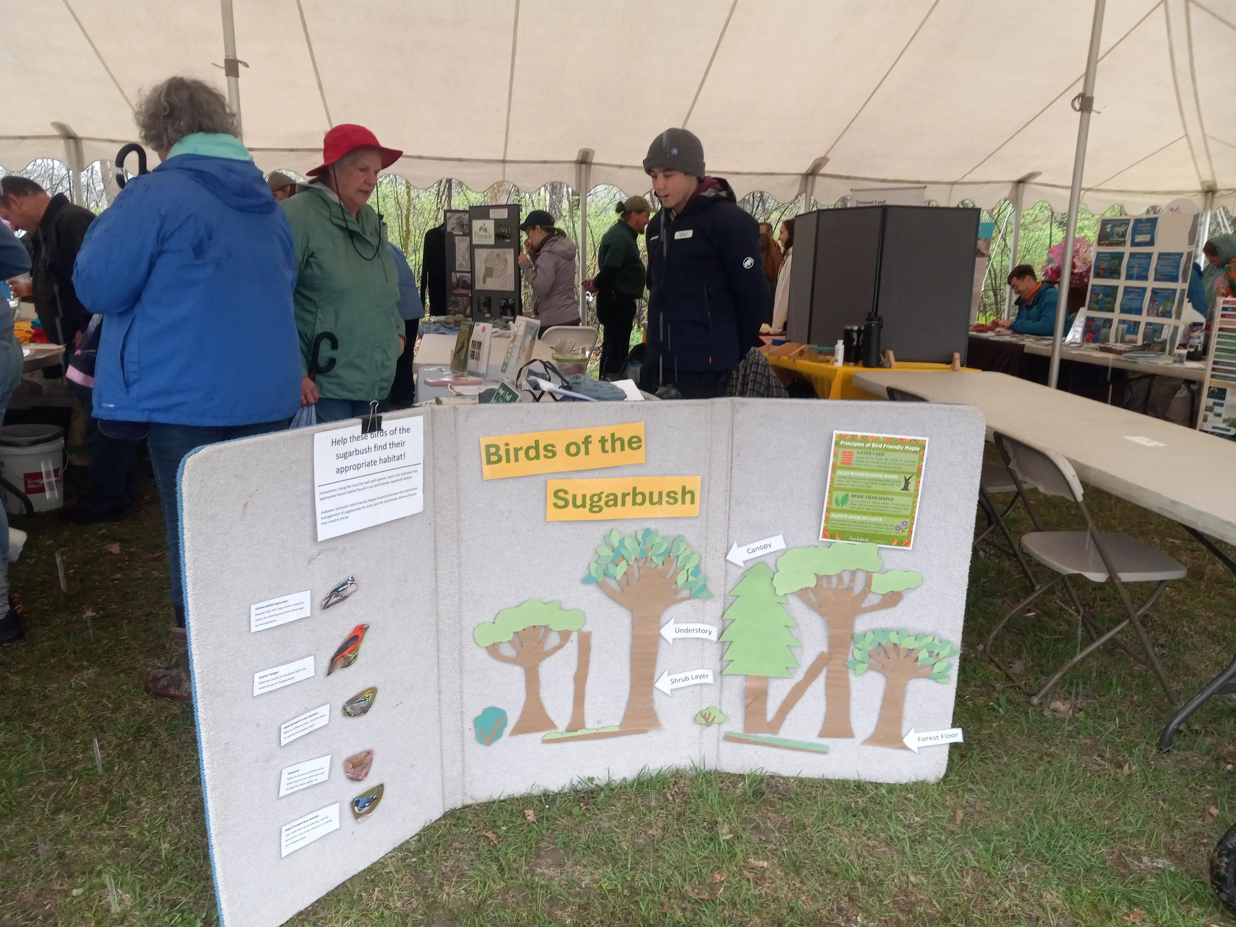 Herricks Cove Wildlife Festival — Ascutney Mountain Audubon Society