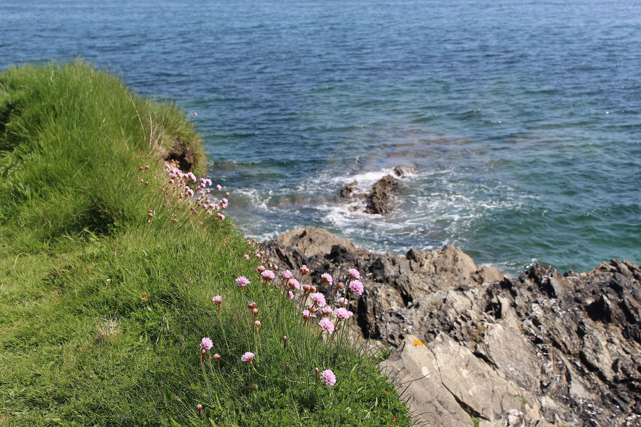 A Cornish Tale — Ruby Seppings