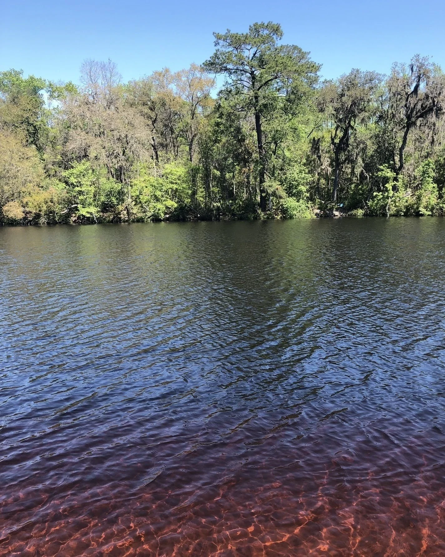 Black Creek — SWIG