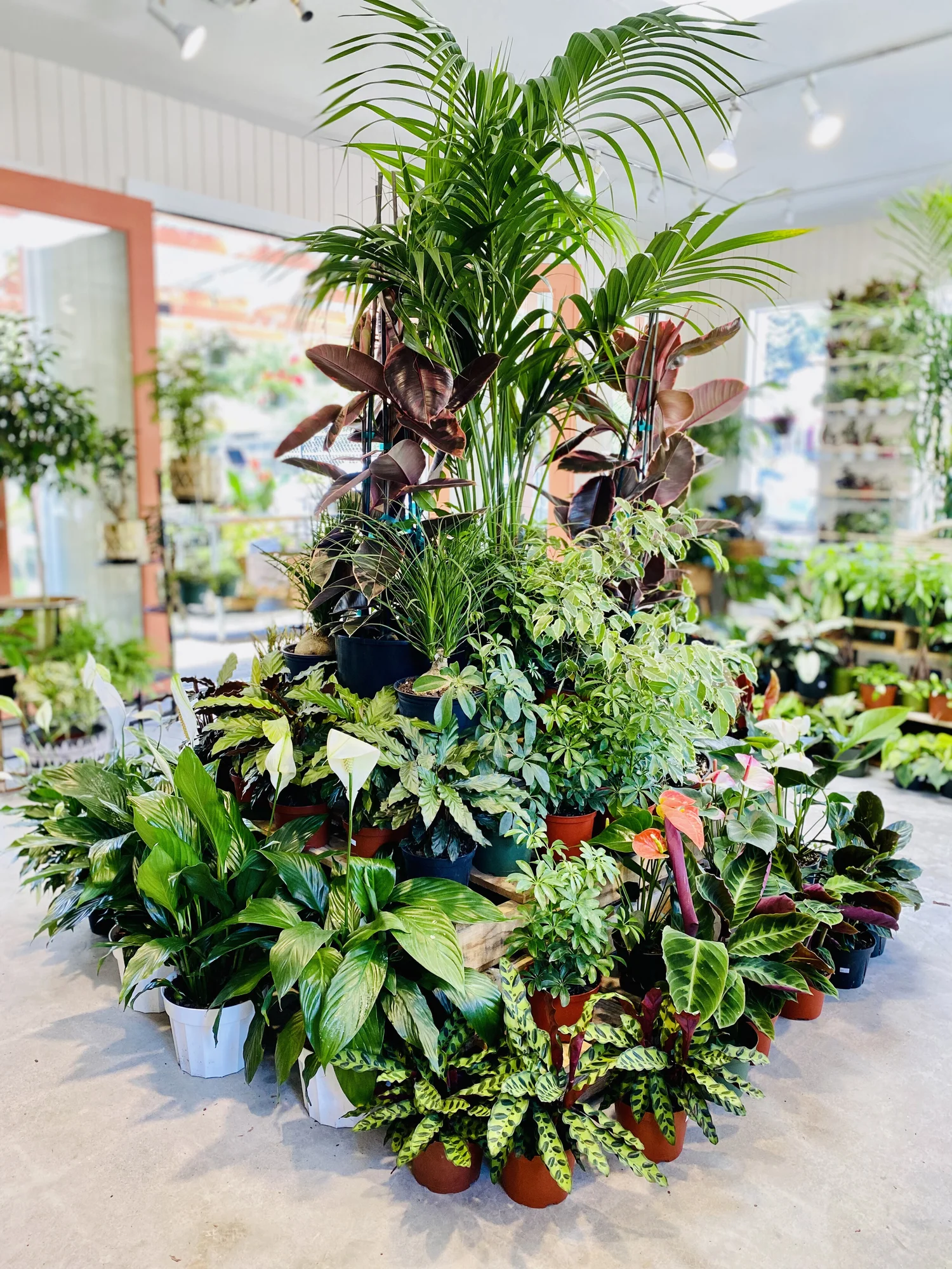 broadway terrace nursery