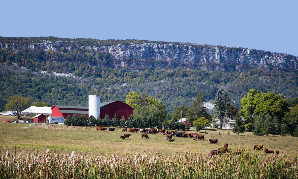 Kiernan Farm