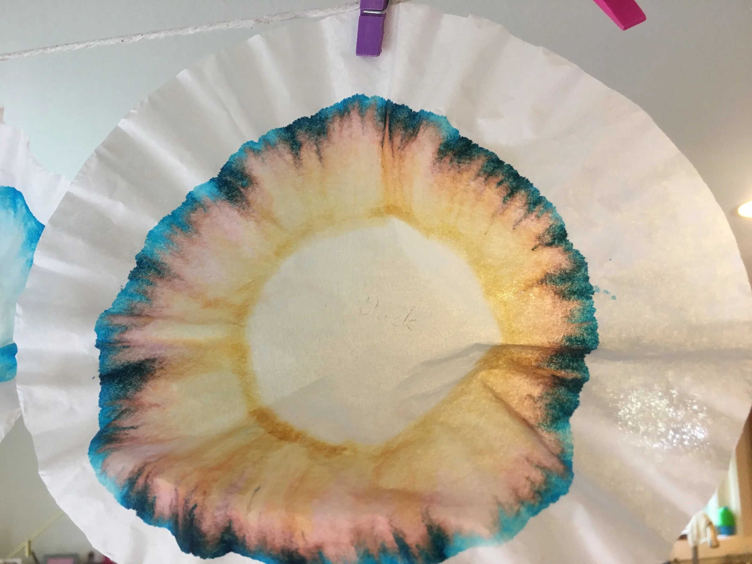 Science & Art: Coffee Filters — Van Pelt Law