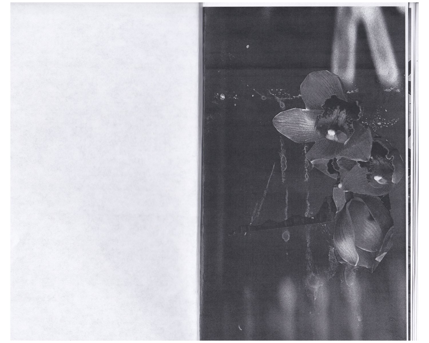 PORTAL — ALEXANDRA HULSEY