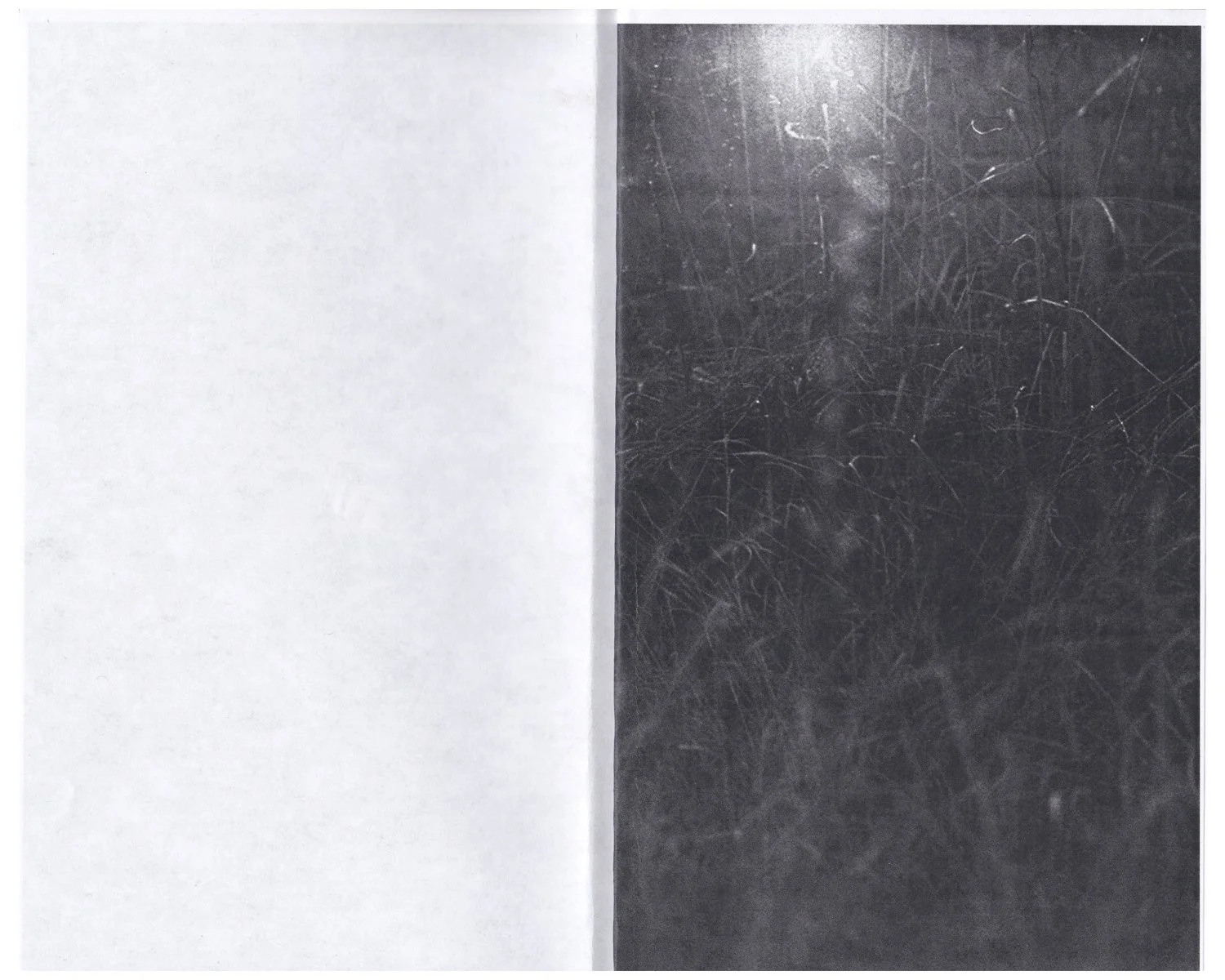 PORTAL — ALEXANDRA HULSEY