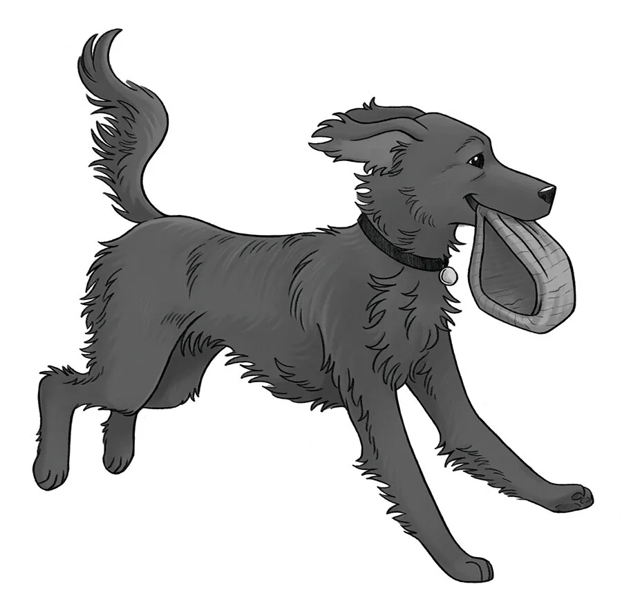 Courtney Godbey Illustration