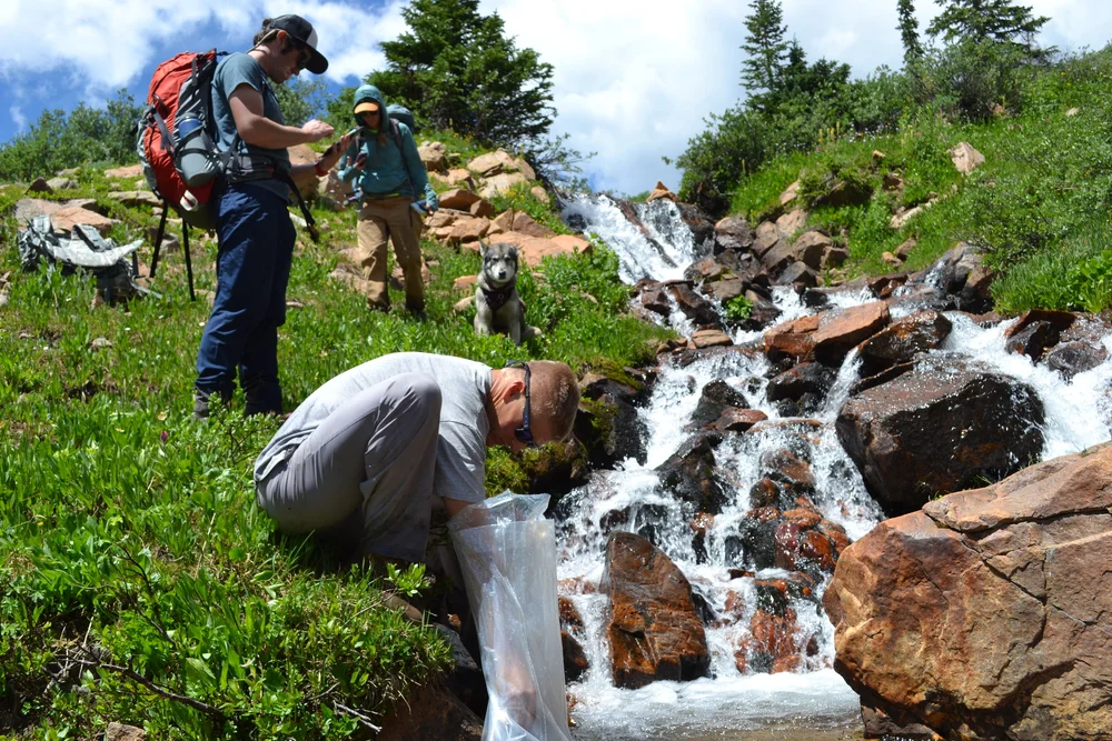 Native trout hitch a ride home on the backs of volunteers — Colorado ...