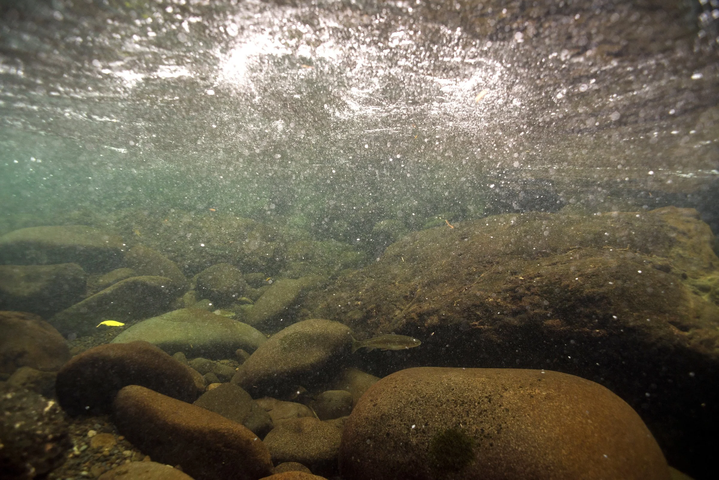 Blue Valley Ranch land exchange in Colorado proceeds to next steps ...