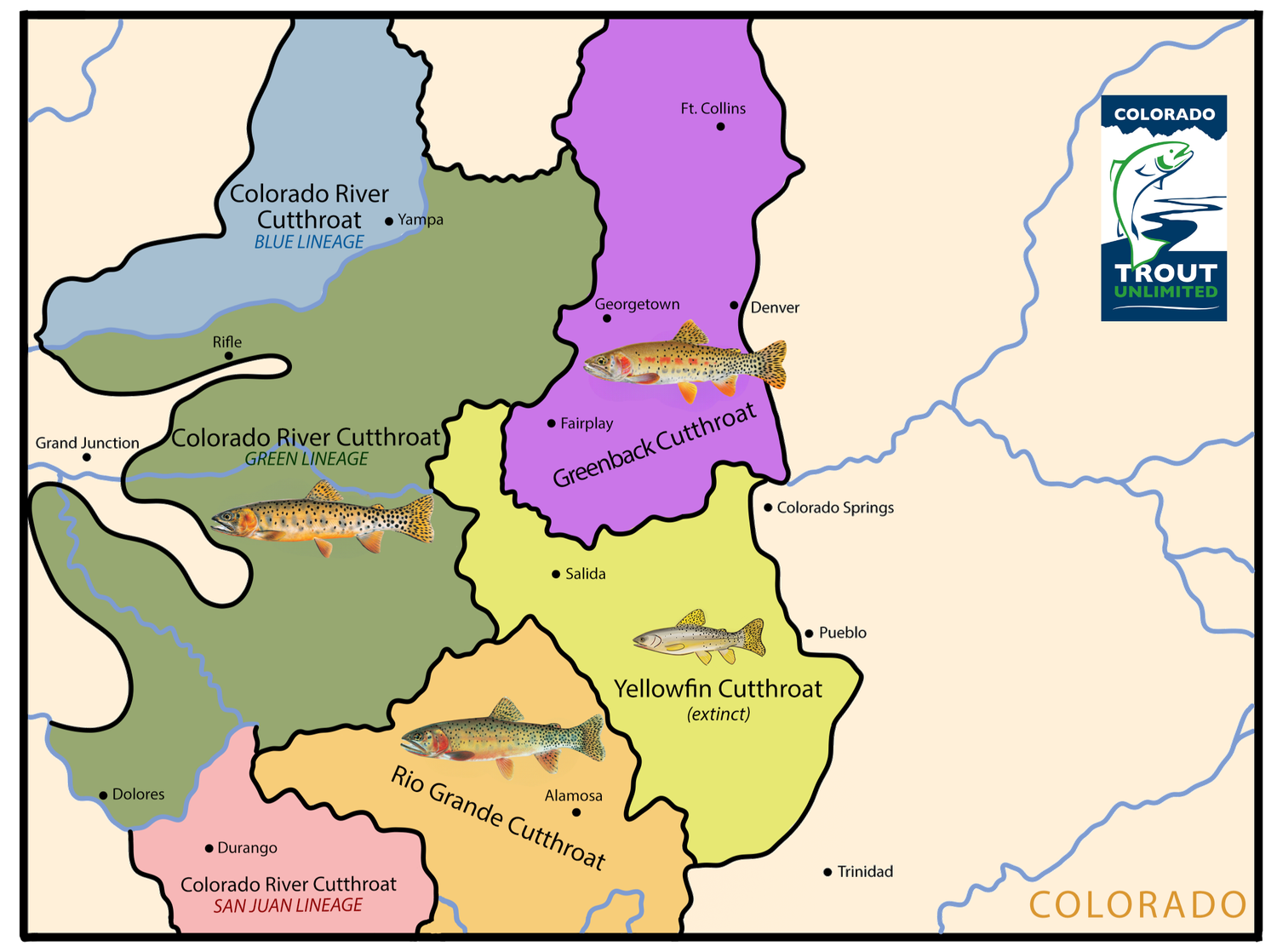 Native Trout — Colorado Trout Unlimited