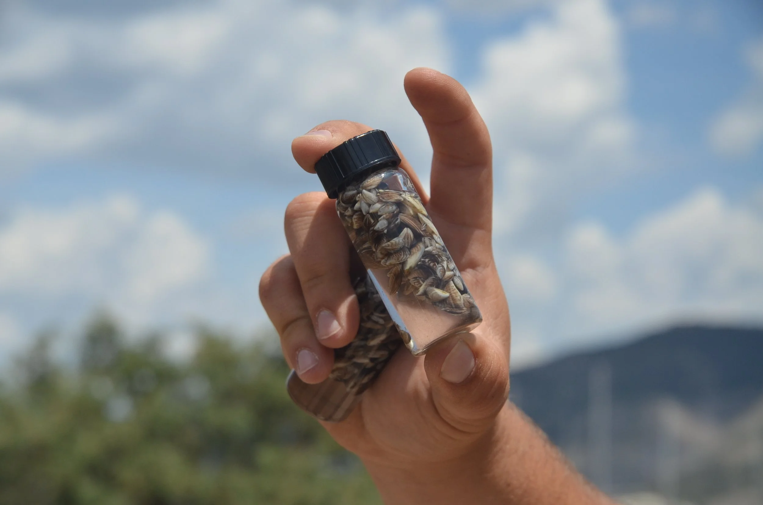 Clean, Drain, Dry — Colorado Trout Unlimited