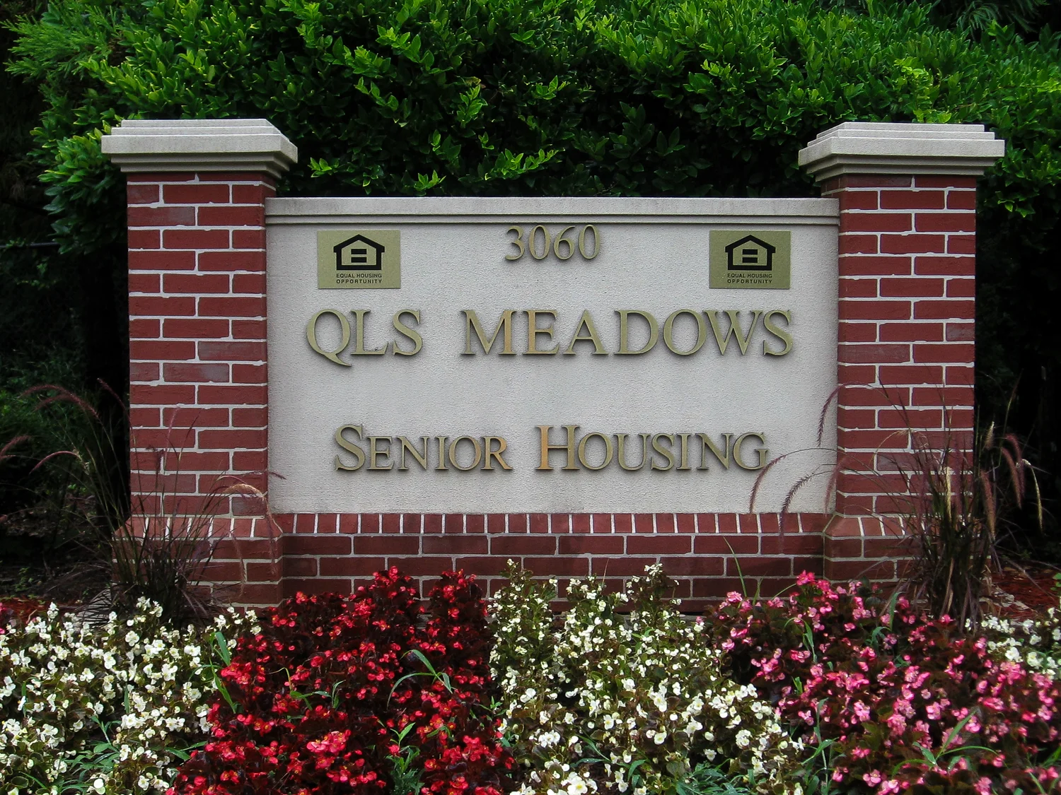 QLS Meadows — Quality Living Services, Inc.