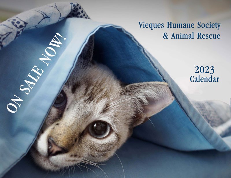 Merch — Vieques Humane Society and Animal Rescue