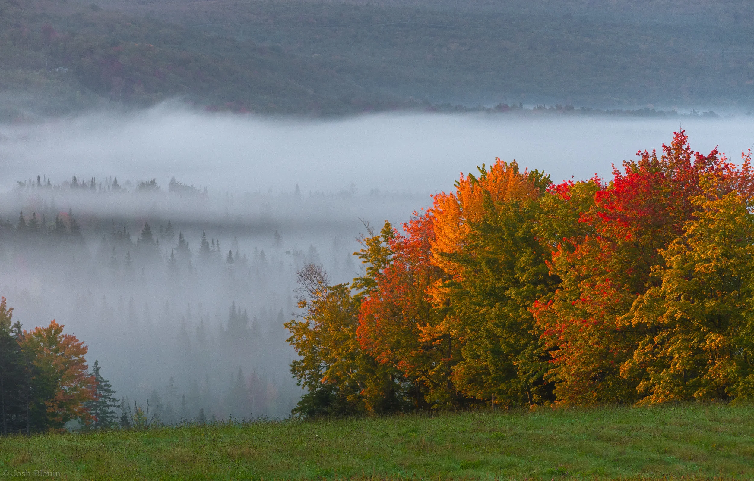 Josh Blouin Photography