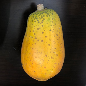 Aruba Seed — Aruba Seed