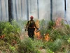 Prescribed Fire — Grayback Forestry