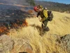 Prescribed Fire — Grayback Forestry
