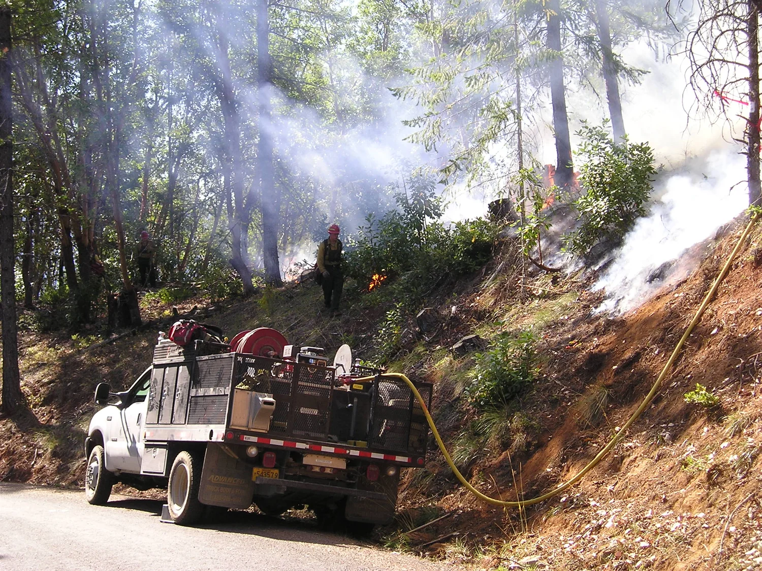 Prescribed Fire — Grayback Forestry