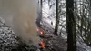 Prescribed Fire — Grayback Forestry