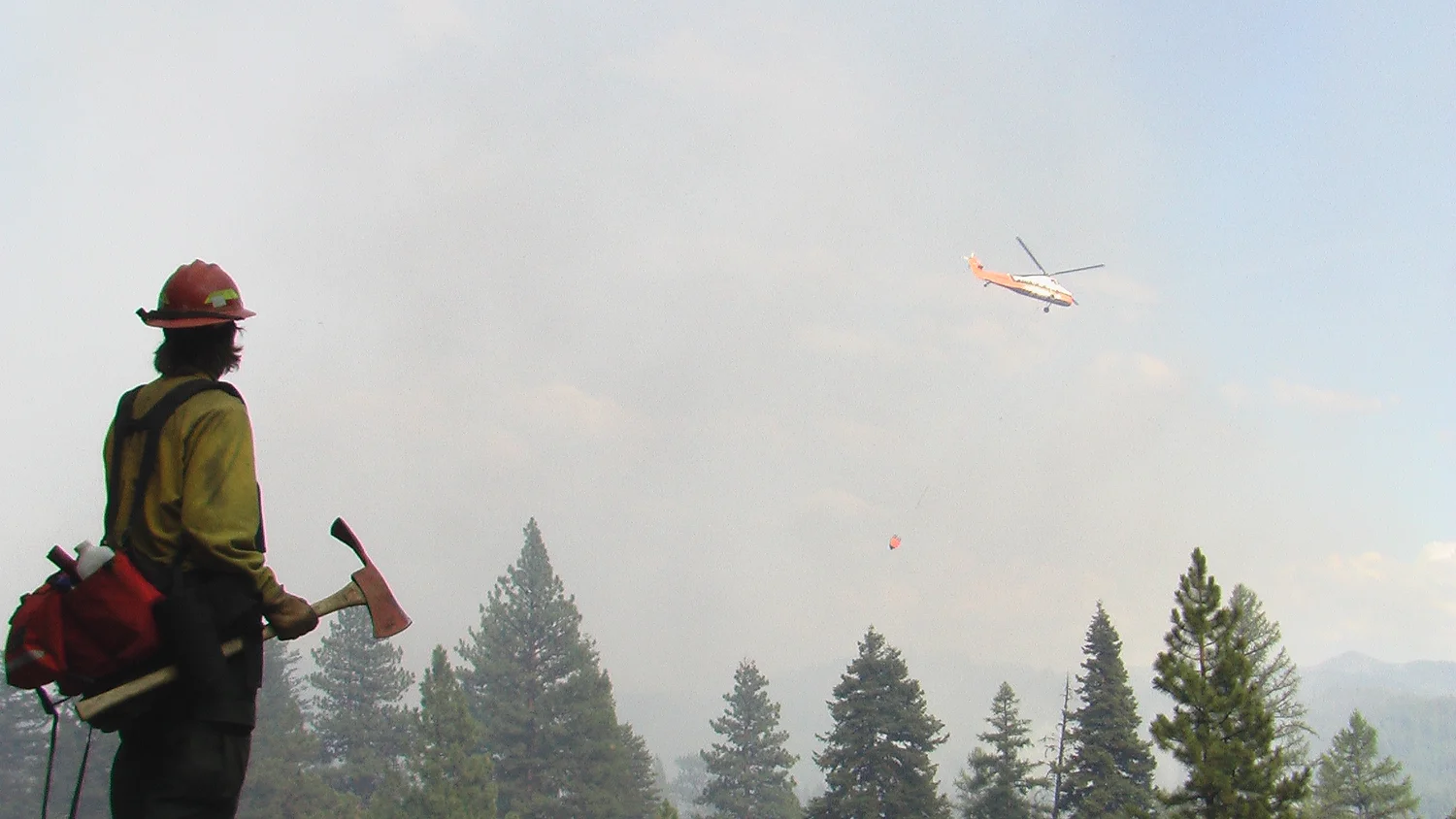 Wildfire Suppression — Grayback Forestry