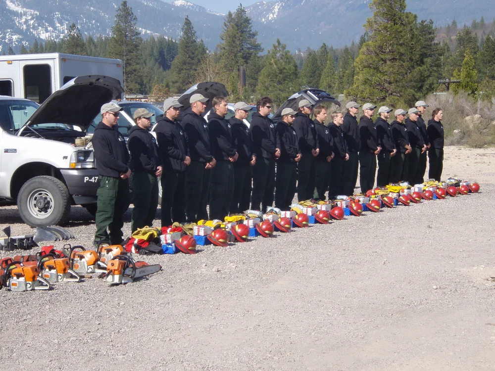 Our Training — Grayback Forestry