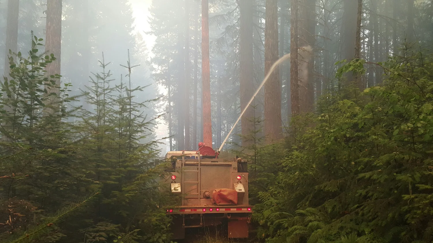 Wildfire Suppression — Grayback Forestry