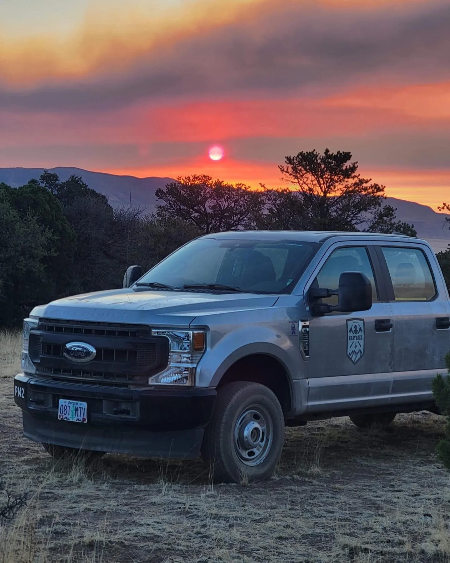 Work With Us — Grayback Forestry